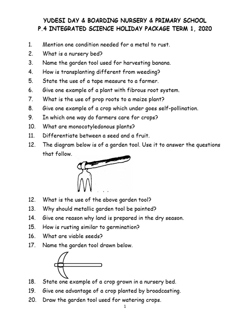 P4 Integrated Science Holiday Package | PDF | Legume | Flowers