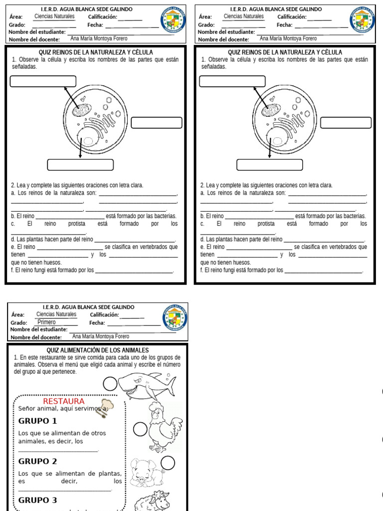 Quiz de Reinos de La Naturaleza | PDF | Plantas | Naturaleza