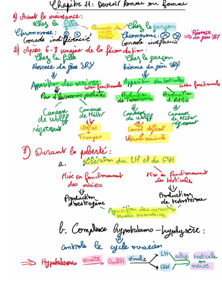Fiche de Révision SVT Chap11 | PDF