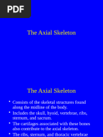 Unlabeled Axial Skeleton Overview | PDF | Skull | Skeletal System