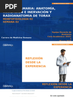 Anatomía y disección de la arteria mamaria interna | PDF | Tórax | Aorta
