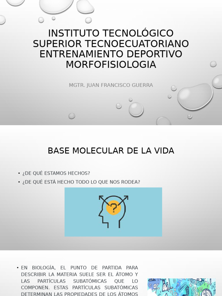 MATERIAL DE CLASE - Morfo 2 | PDF | Biomoléculas | Importar