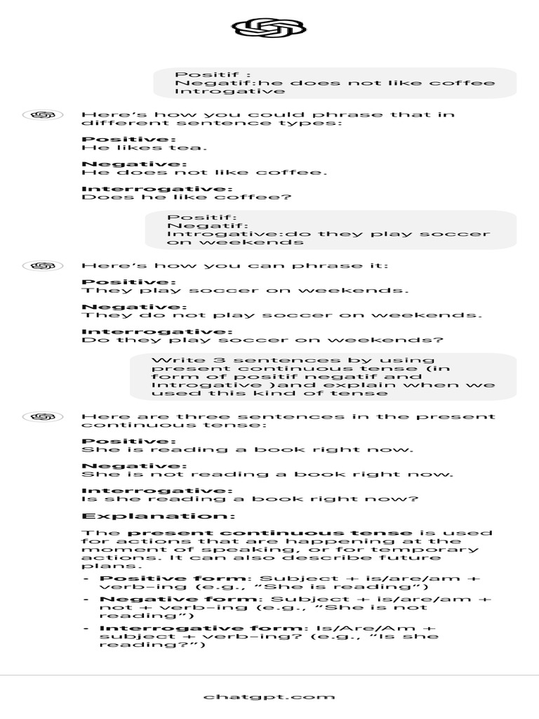 Positive Negative Interrogative Examples | PDF