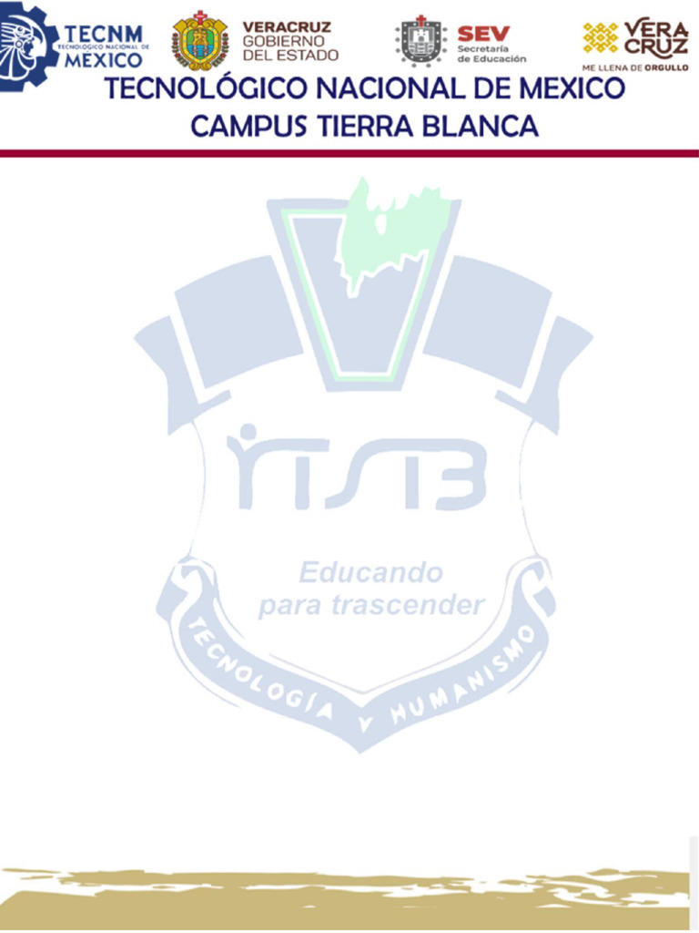 Unid4 Act2 Andy Maldonado | PDF | Auditoría | Información