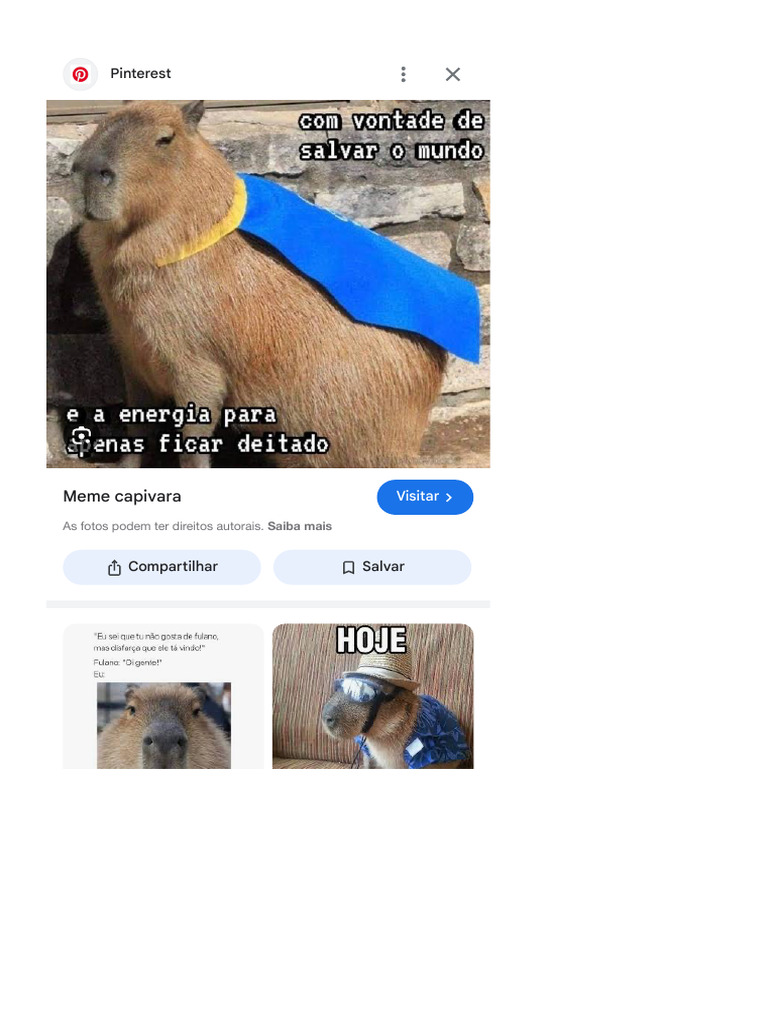 Foto Capivara Meme | PDF