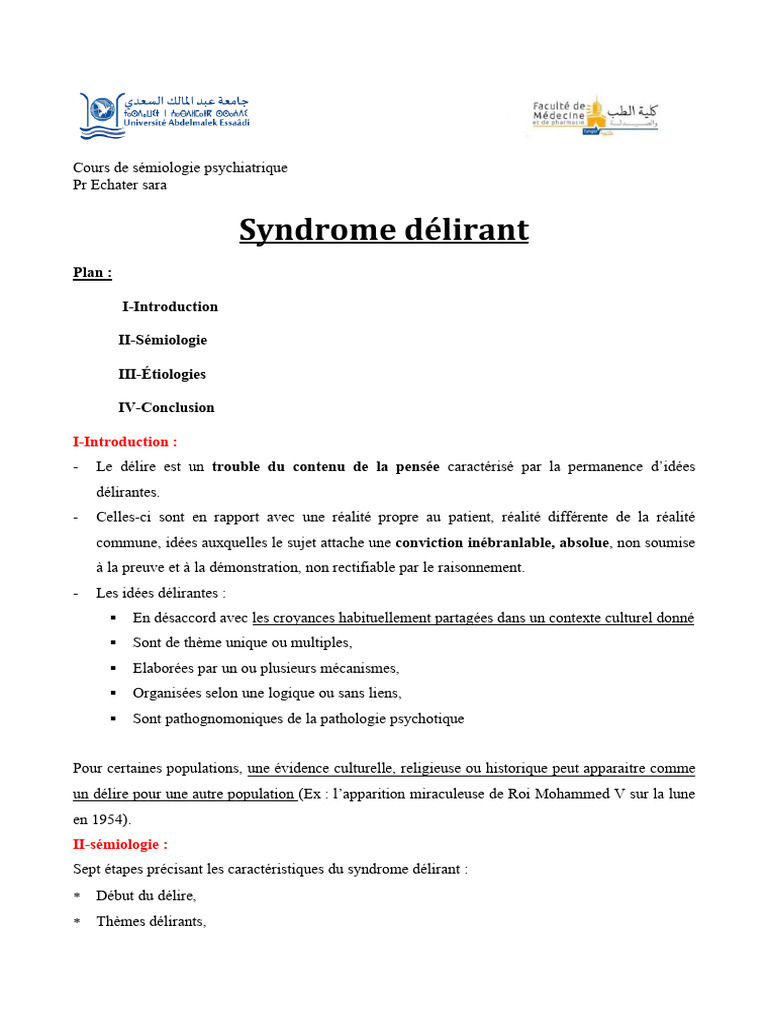 Comprendre le syndrome délirant | PDF | Délire | Hallucination