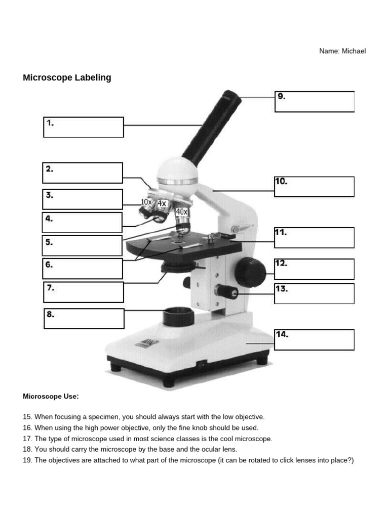 Microscope Labeling word doc | PDF