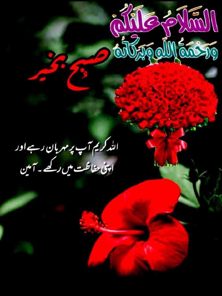 PDFReader 20250520 0208 | PDF