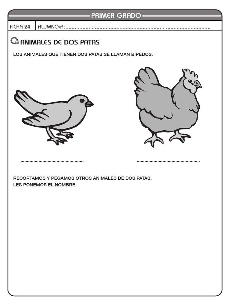 Animales Bípedos para Primer Grado | PDF