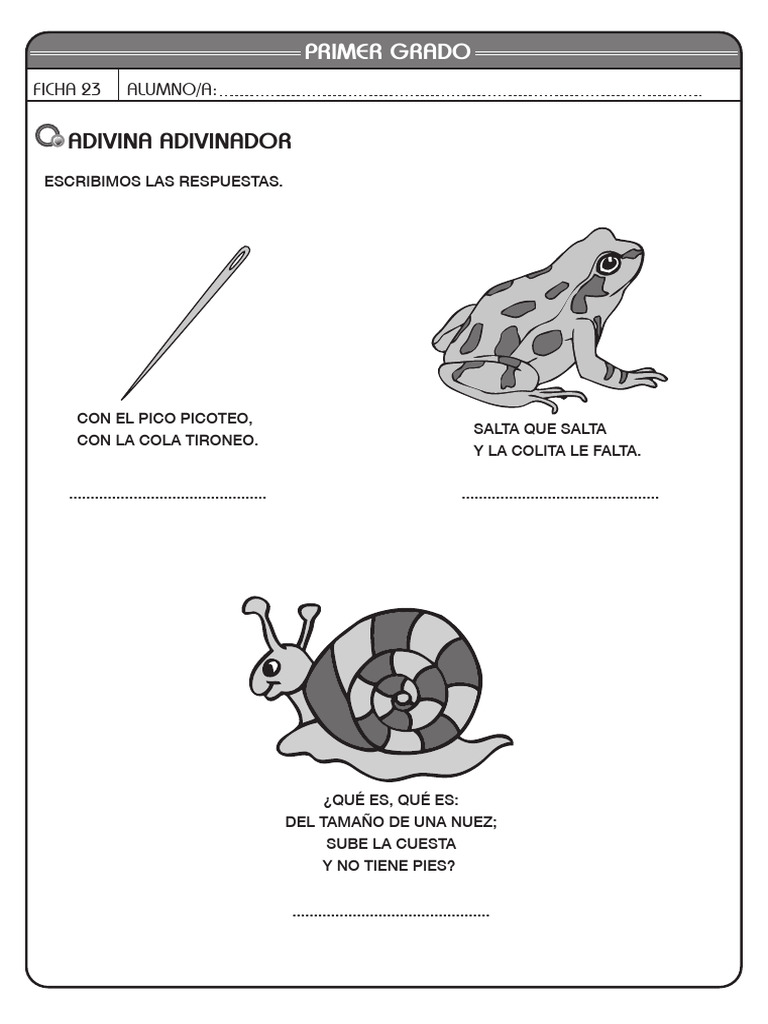 Adivina Adivinador: Primer Grado | PDF