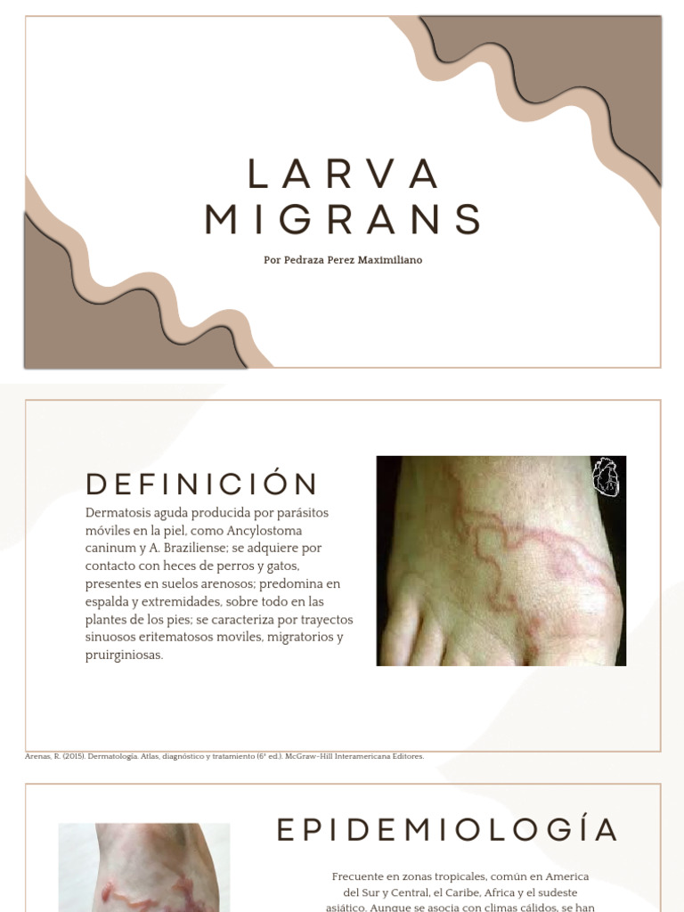 Larva migrans MAX PEDRAZA | PDF | Especialidades Medicas | Enfermedades ...
