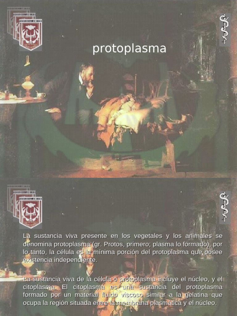 5 Protoplasma | PDF | Retículo endoplásmico | Citoplasma