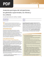Anatomia de Mesorecto | PDF | Cáncer colonrectal | Cirugía