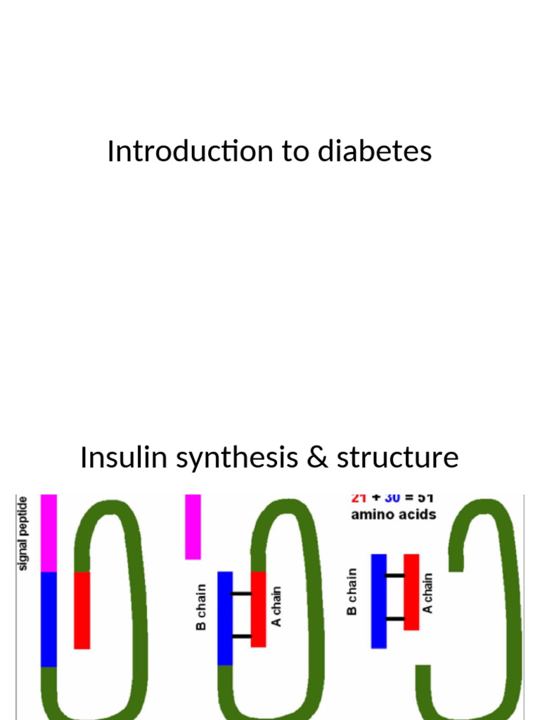 Diabetes Training Slides Yr 3 | PDF | Diabetes | Insulin