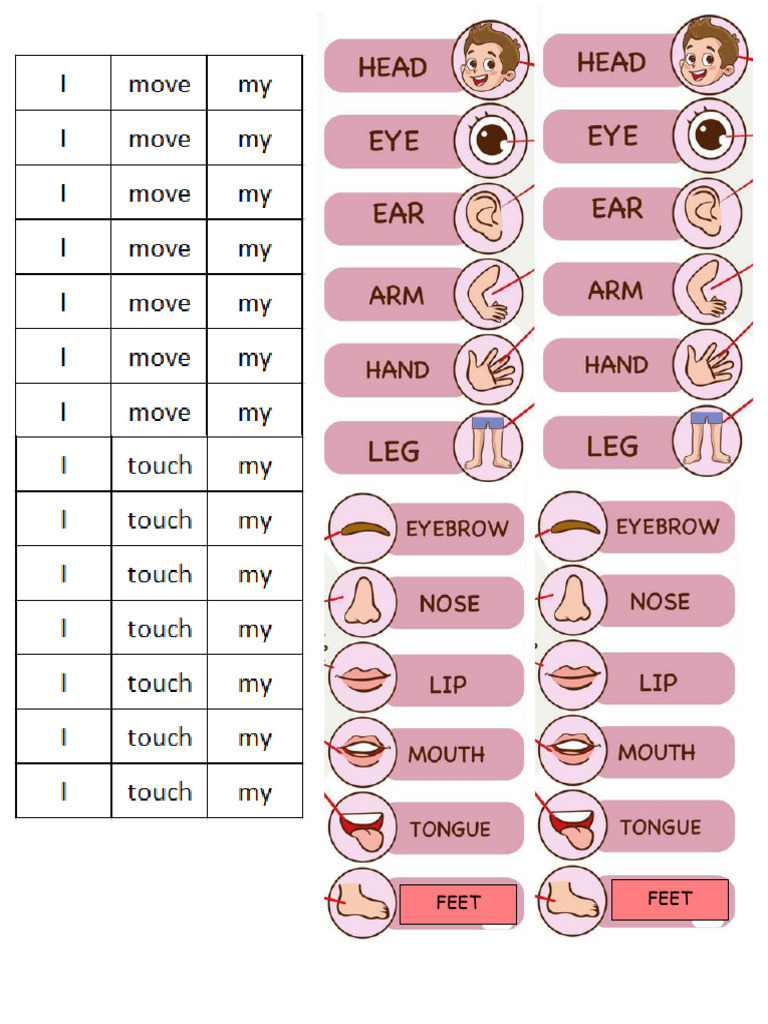WS3. Body Parts with MOVE and TOUCH | PDF