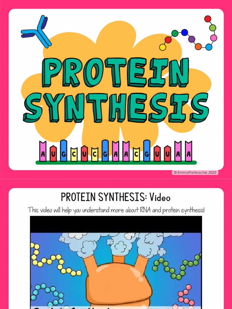 Protein Synthesis - Student Slides S24 | PDF