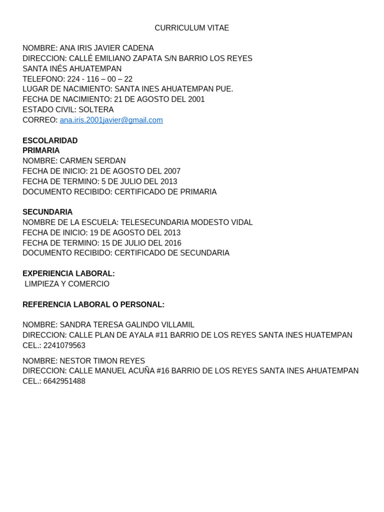 Curriculum Vitae Ana Iris | PDF