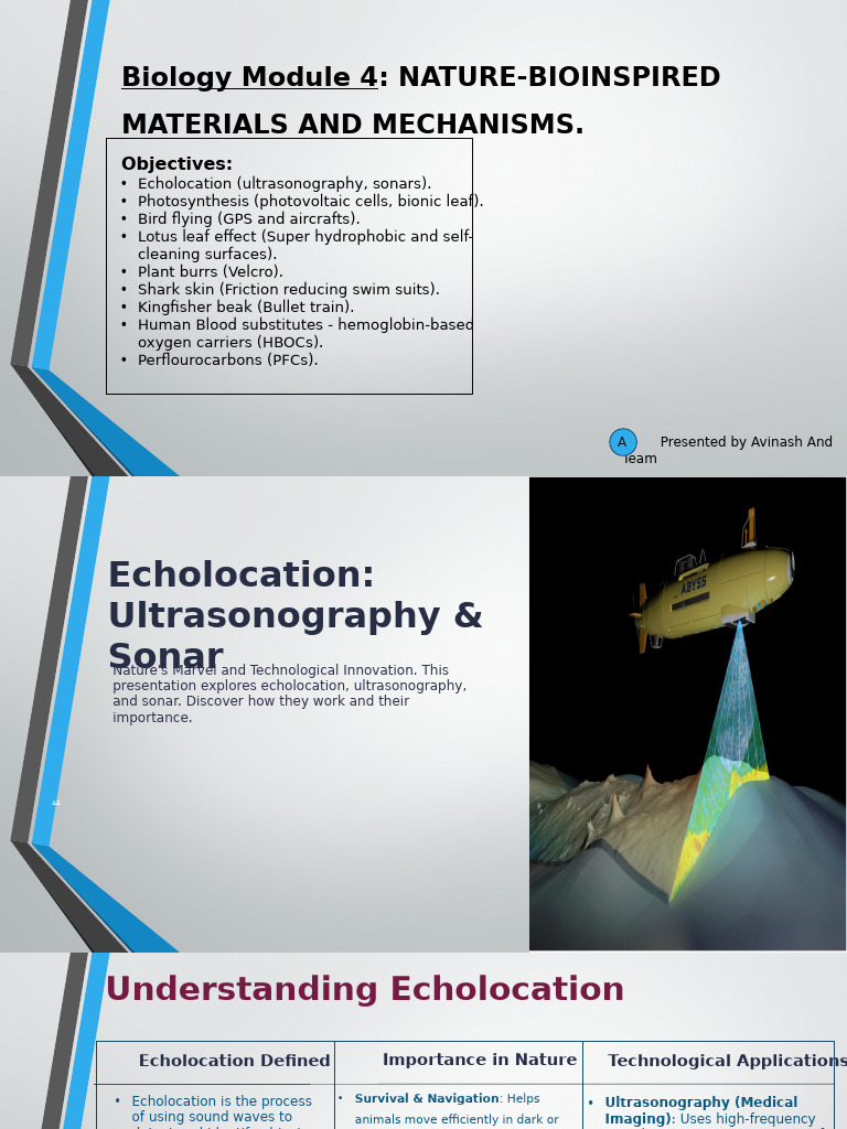 Biology For Engineers BBOK407 VTU ENGINEERING 4TH SEMESTER BIOLOGY ...