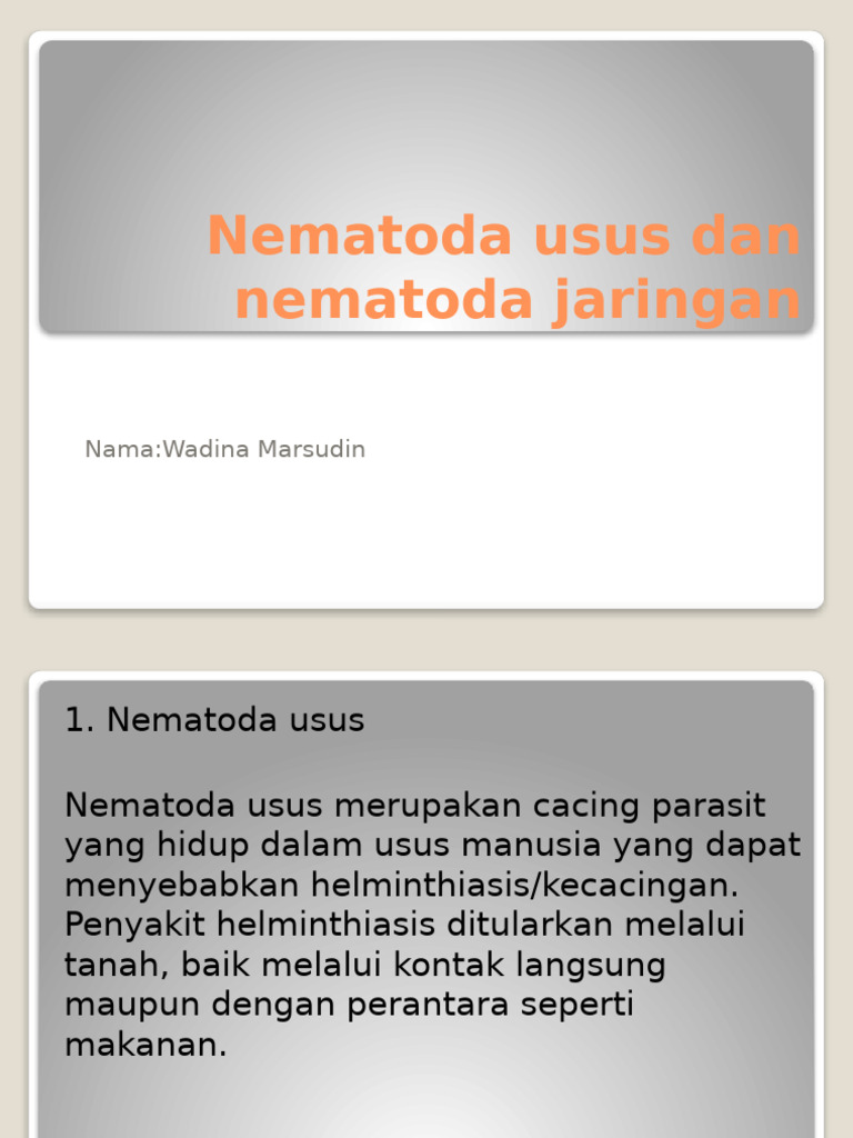 Nematoda Usus Dan Nematoda Jaringan-1 | PDF