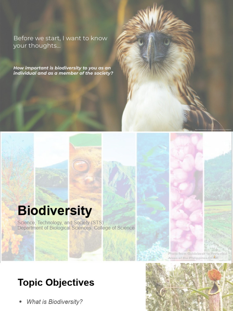 Biodiversity STS | PDF | Biodiversity | Human Impact On The Environment