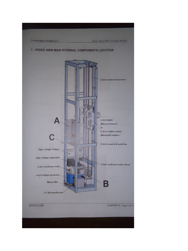 Viola Internal Structure | PDF