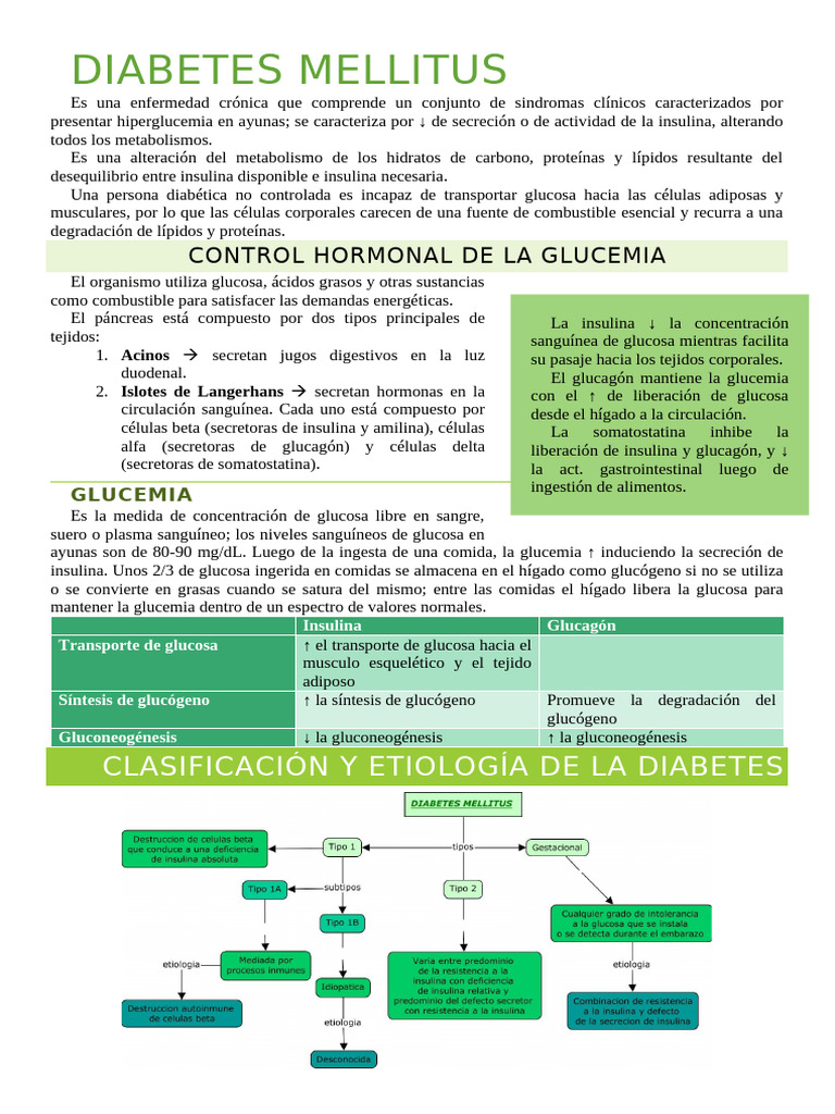 Diabetes Mellitus: Tipos y Control Glucémico | PDF | Insulina | Diabetes