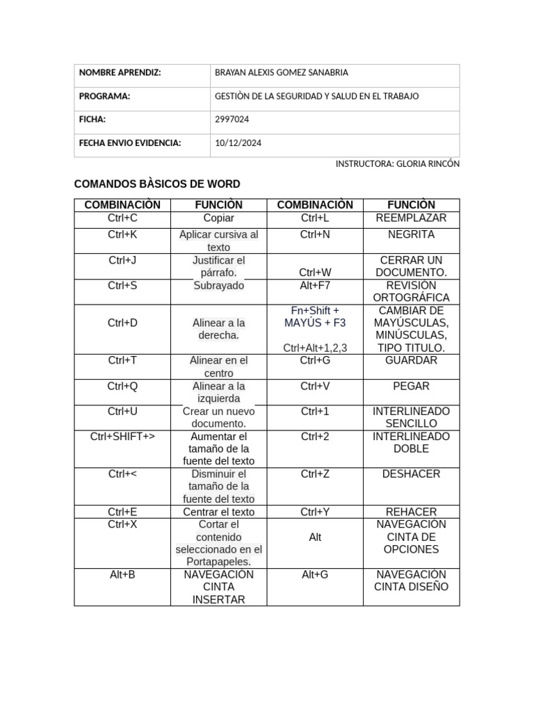 Comandos de Word | PDF