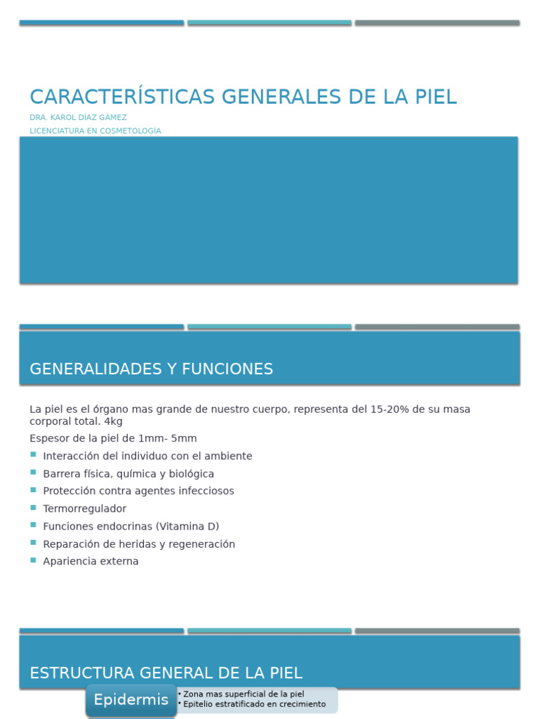 Generalidades de La Piel 1 | PDF | Piel | Epidermis