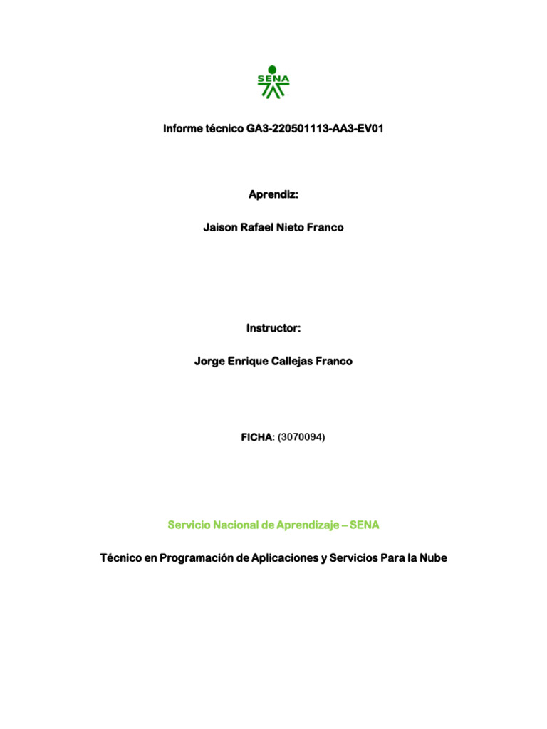 _Informe_tecnico (1) | PDF