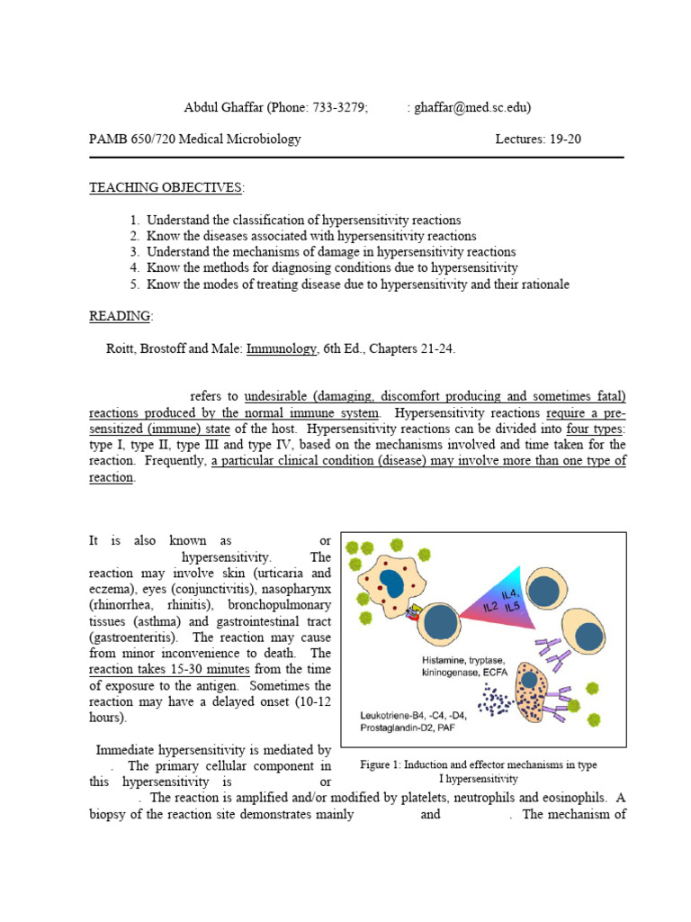 Understanding Hypersensitivity Reactions | PDF | Allergy | Immune System