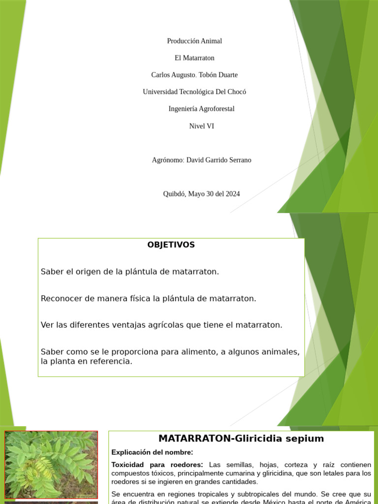 Matarraton | PDF | Alimentos | Agricultura