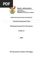 Grade 11 IT PAT Guidelines 2025 | PDF | Databases | Programming