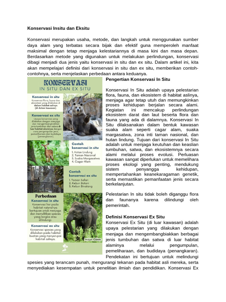 Konservasi Insitu Dan Eksitu | PDF