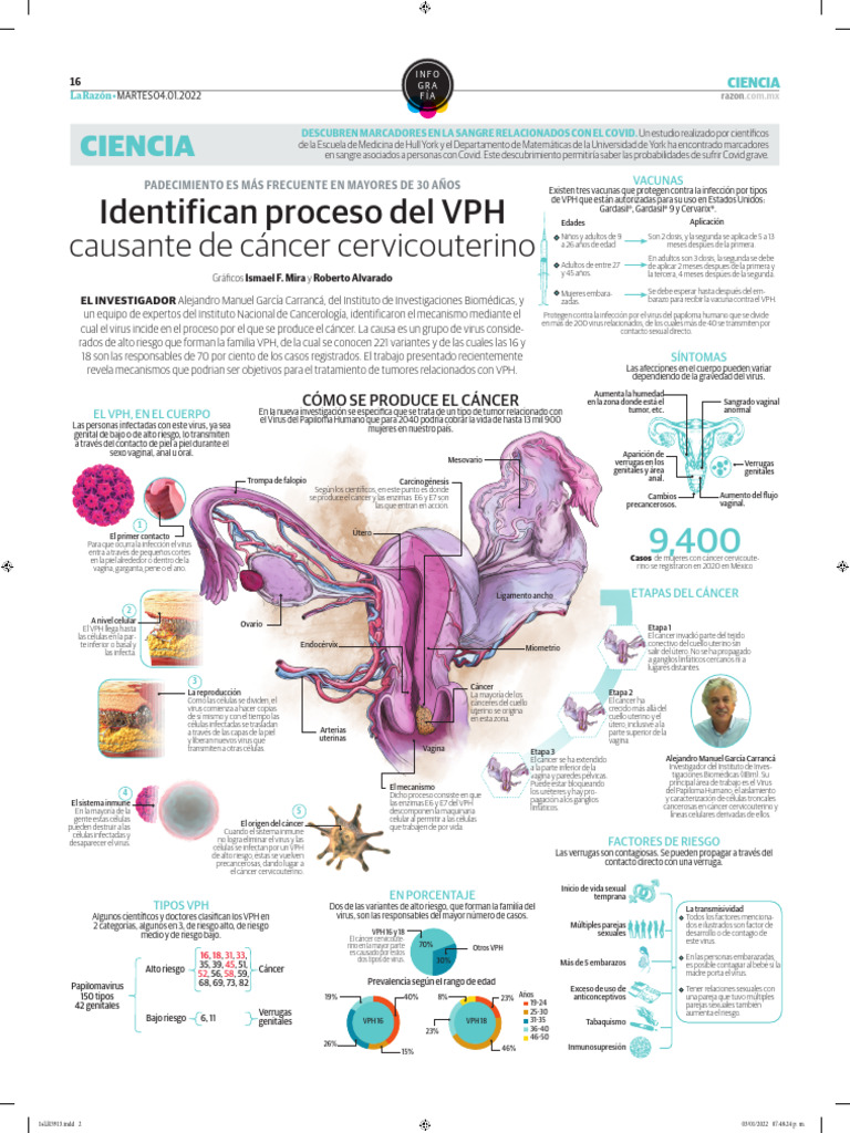 Identifican Proceso Del VPH: Causante de Cáncer Cervicouterino | PDF ...