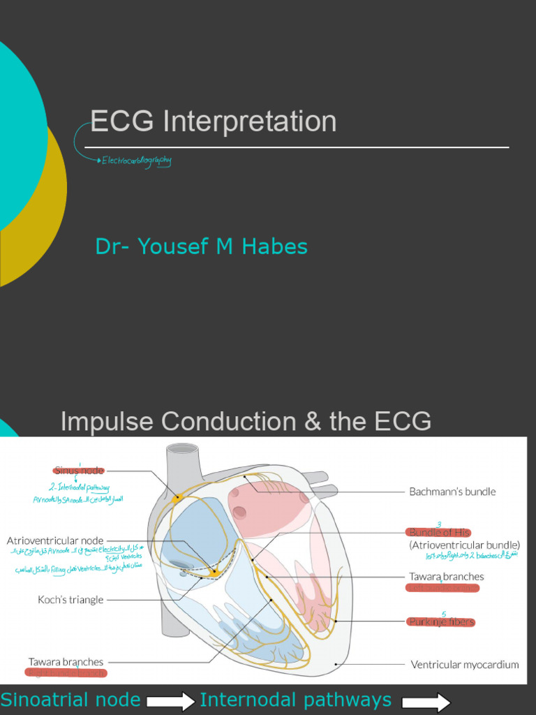 ECG Interpretation - PPTX R | PDF | Electrocardiography | Physiology