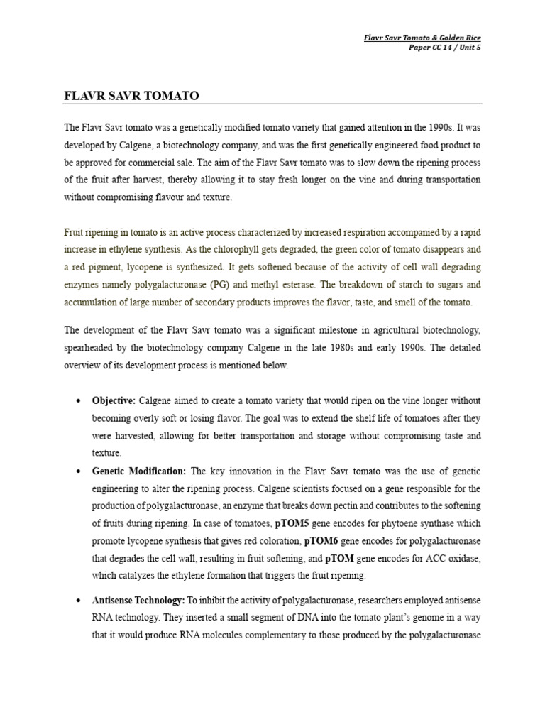 Flavr Savr Tomato: A Biotech Milestone | PDF | Tomato | Genetically ...