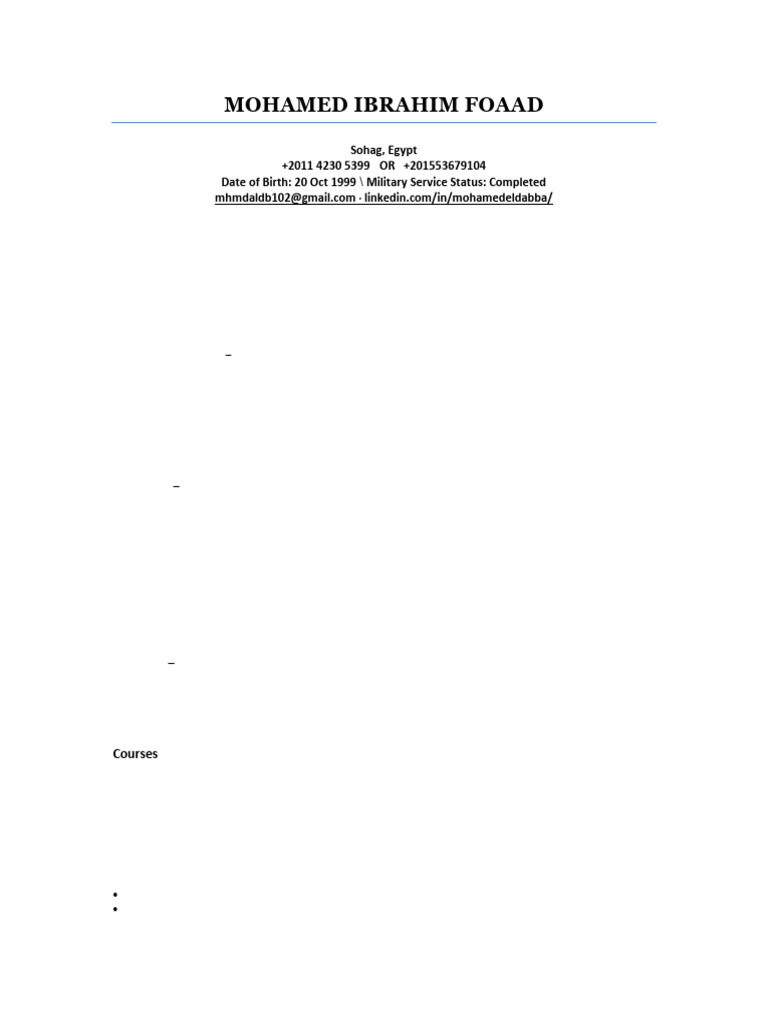 Mohamed - CV 1 | PDF