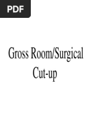 Gross Room | PDF | Histopathology | Pathology