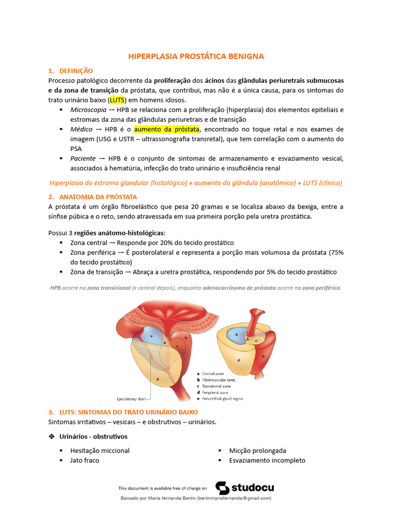 Hiperplasia Prostatica Benigna HPB | PDF | Próstata | Medicina Clínica