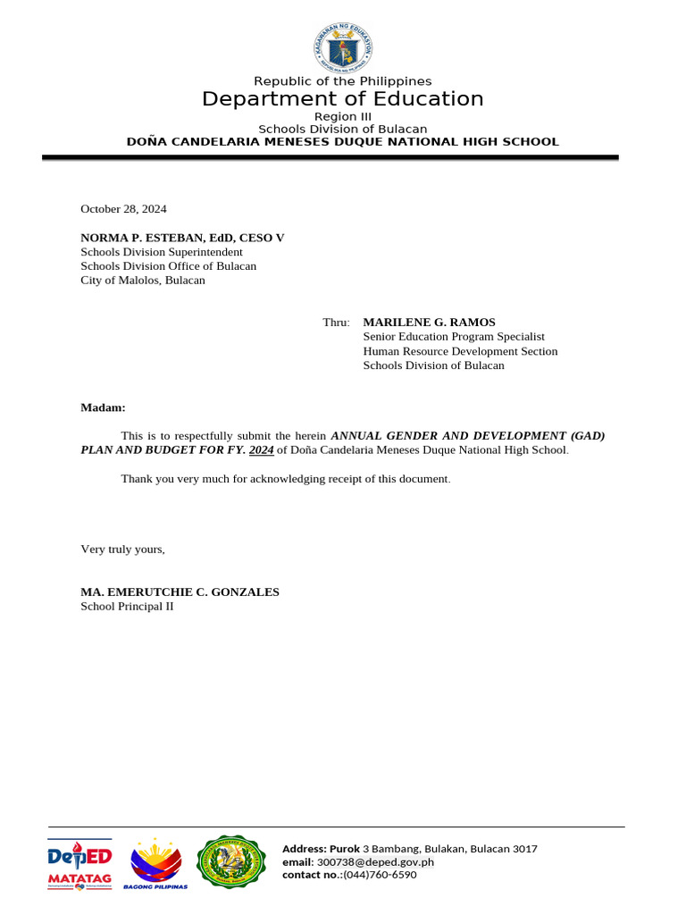 Transmittal Letter (GAD PLAN AND BUDGET FOR 2024 | PDF