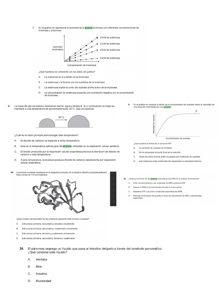 Enzimas Examen | PDF