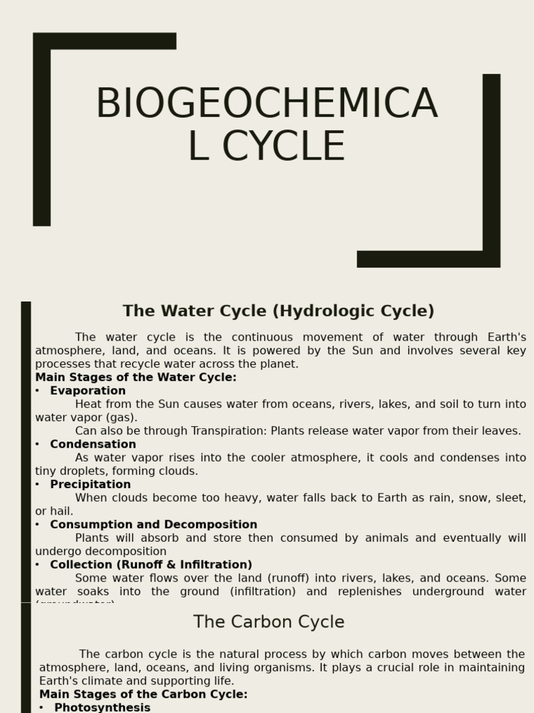 Biogeochemical Cycle | PDF | Sulfur | Water Cycle