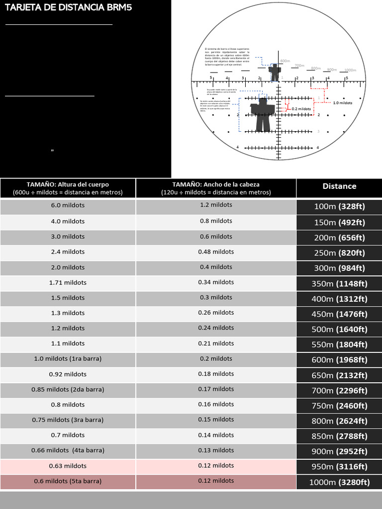 Tarjeta de Distancia G22A2 BRM5 | PDF