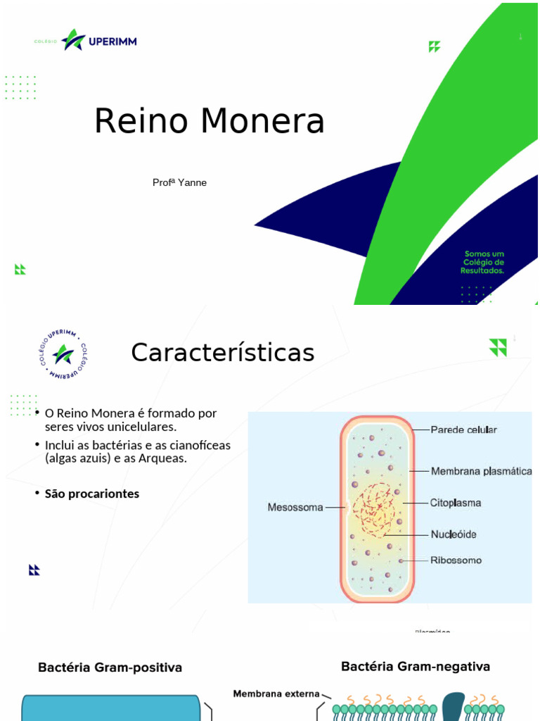 Características do Reino Monera e Bactérias | PDF | Bactérias ...