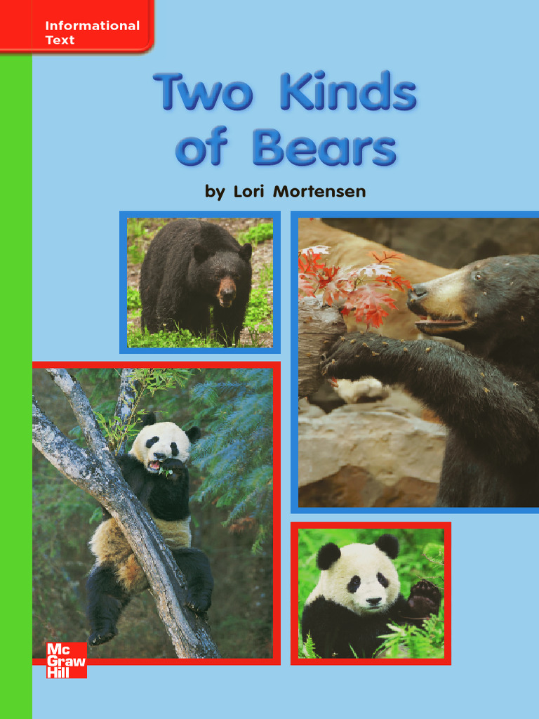 Unit 19 Two Kinds of Bear | PDF | Bears | Giant Panda