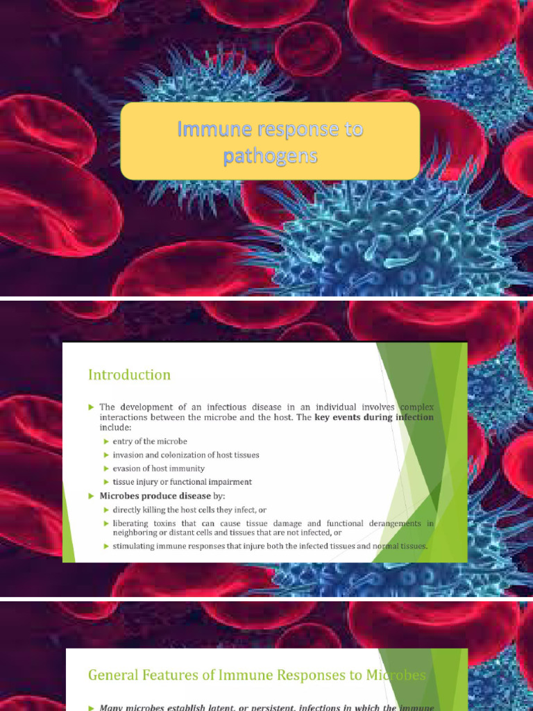 Immune Response | PDF