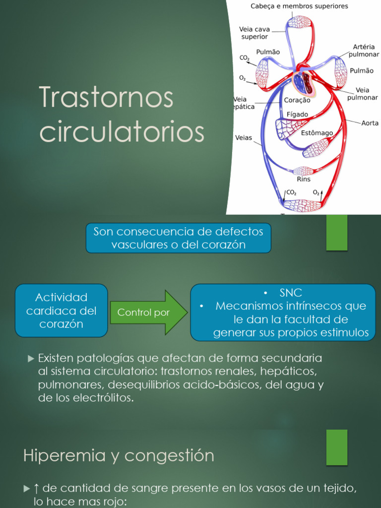 Trastornos Circulatorios (Hiperemia J Congestion J Edema) | PDF | Edema ...