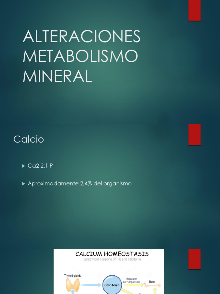 Alteraciones Metabolismo Mineral | PDF | Calcio | Vitamina D