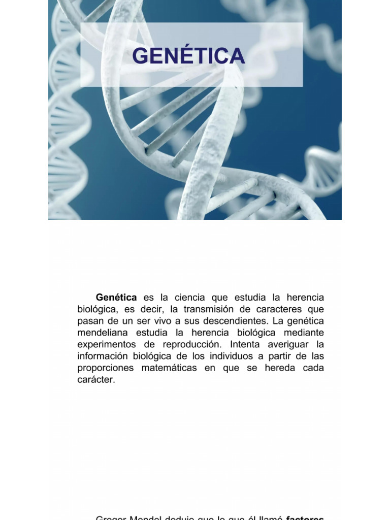 I-GEN MENDELIANA | PDF | Dominancia (Genética) | Alelo