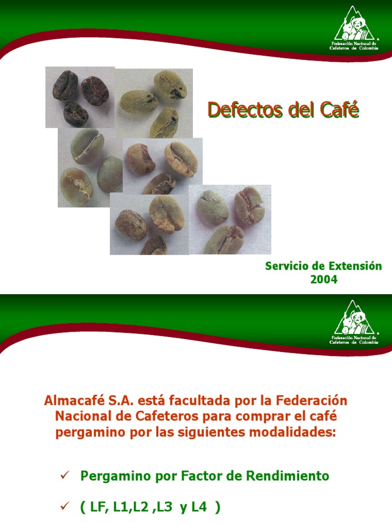 Defectos Del Café2 | PDF | café | Alimentos